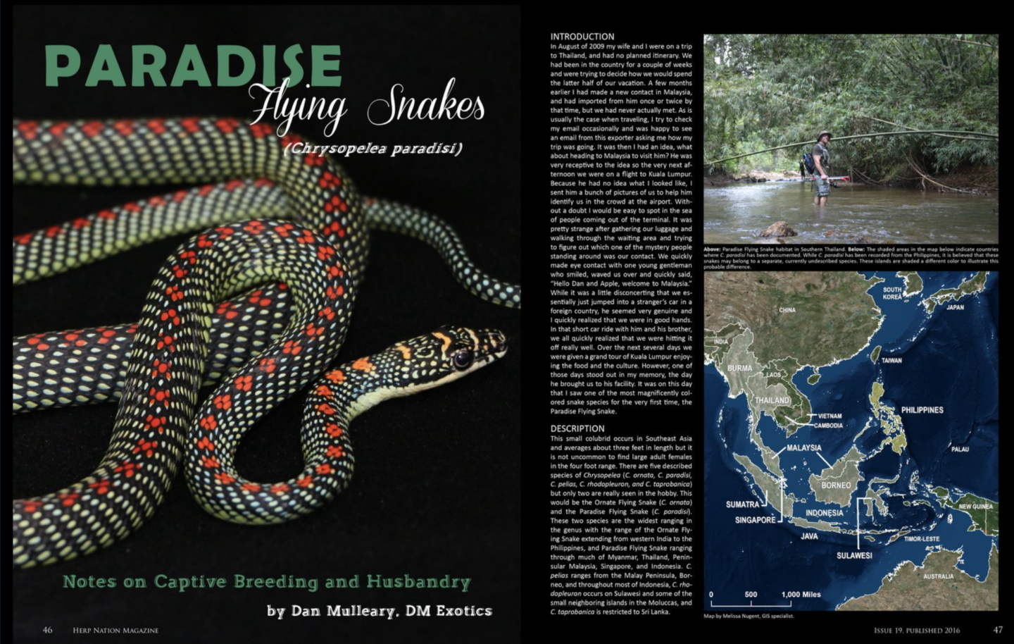 HerpNation Issue No. 19-Paradise Flying Snakes - DM EXOTICS