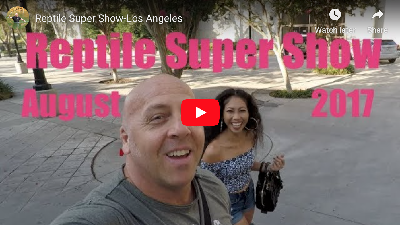 AVAILABLE HUNGRY? SNAKES | MALAYSIA FACILITY - DM EXOTICS