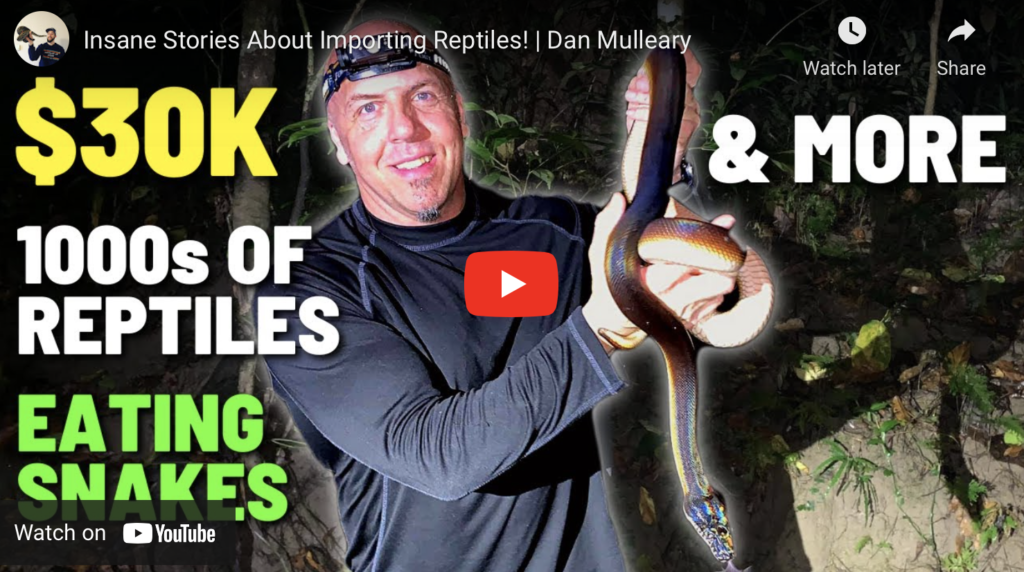 IS THIS OUR BEST SEASON EVER? | INDONESIA UNBOXING - DM EXOTICS